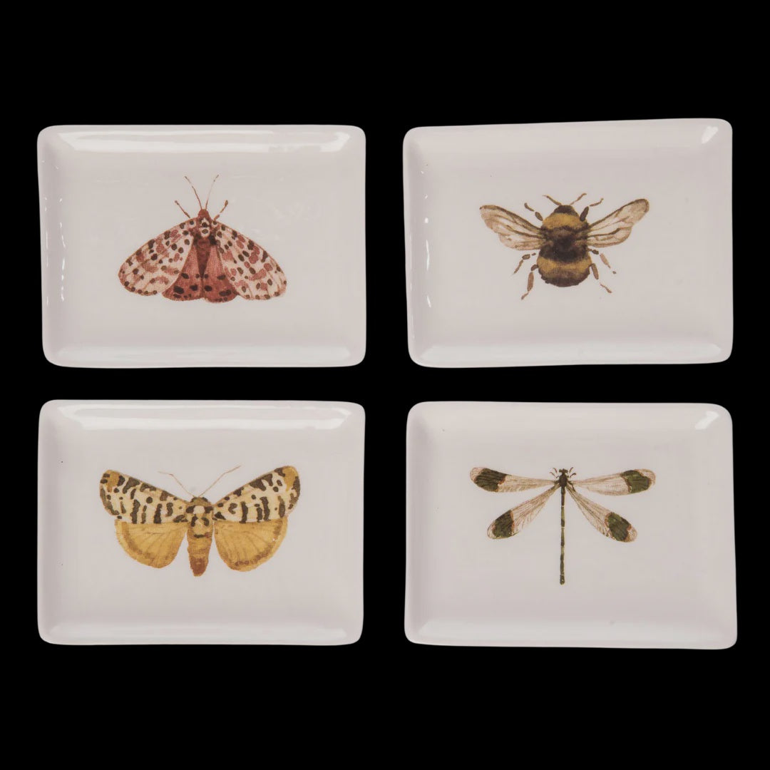 Insect Dipping Dish — berry + basil